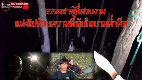 ธรรมชาติที่สวยงามแฝงไปด้วยความลี้ลับยามค่ำคืน Youtube