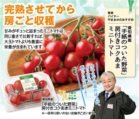 愛知県産「手紙のついた野菜」房付きコクあまミニトマト 商品情報