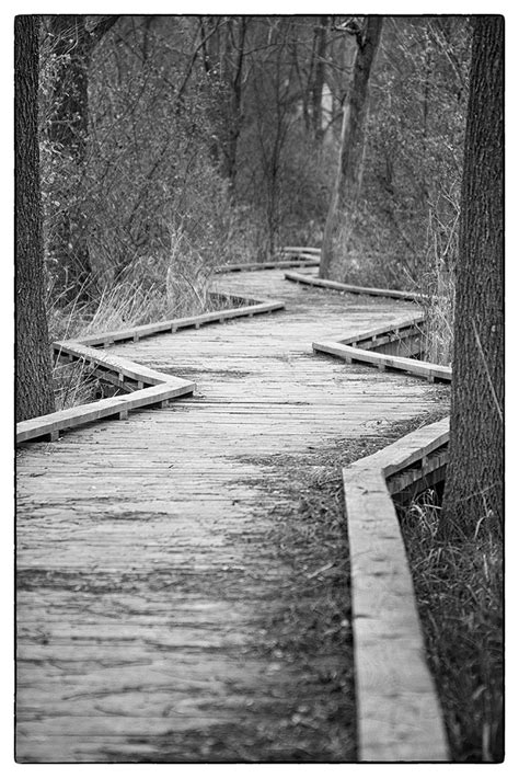 Seldom Seen Zig Zag Path