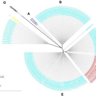Maximum Likelihood Phylogenetic Unrooted Tree Based On Cytochrome B