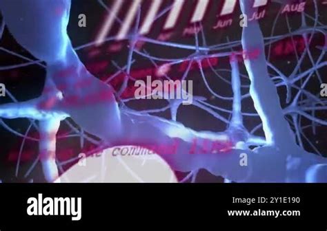 Neural Analysis Stock Videos And Footage Hd And 4k Video Clips Alamy