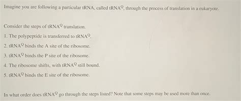 Solved Imagine You Are Following A Particular TRNA Called Chegg Com
