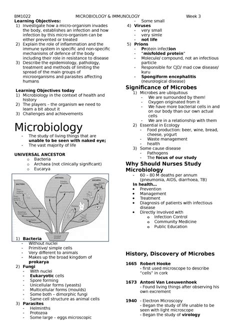 Lec Microbiology And Immunology BM MICROBIOLOGY IMMUNOLOGY Week Learning Studocu