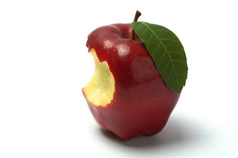 Jabłko