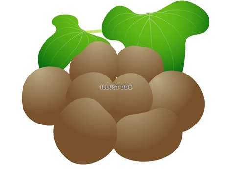 無料イラスト むかごpng・cseps・zip）