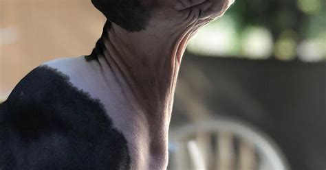 Raisin Album On Imgur
