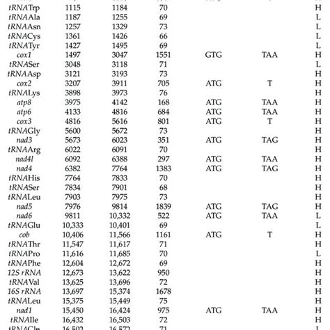 Bar Plot Showing The Distribution Of Codon Content Of The Amino Acids