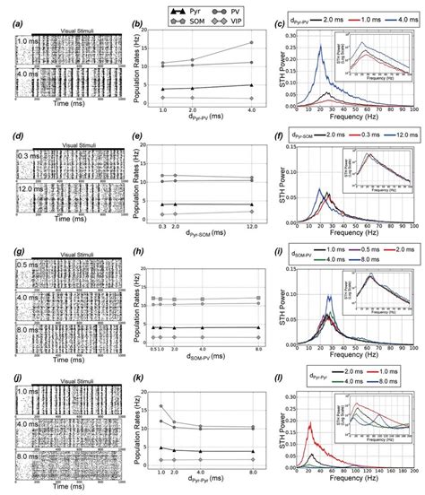 effects of synaptic delay on activity in the proposed microcircuit