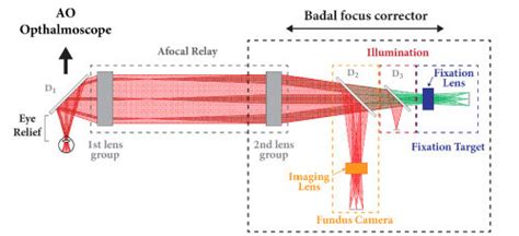 Near Infrared Fundus Camera And Fixation Target Optical Layout D1 D2