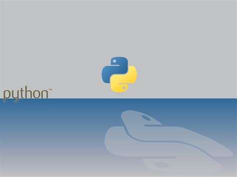 Python Programming Wallpaper Iphone X X Wallpaper Teahub Io