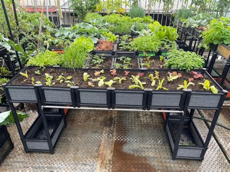 植栽產品 育材模型有限公司