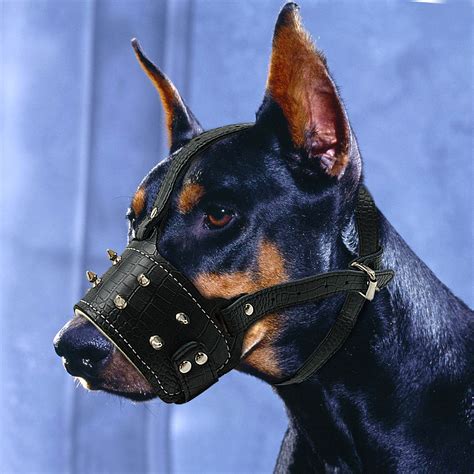 Best Dog Muzzle For Doberman At Jack Oneill Blog