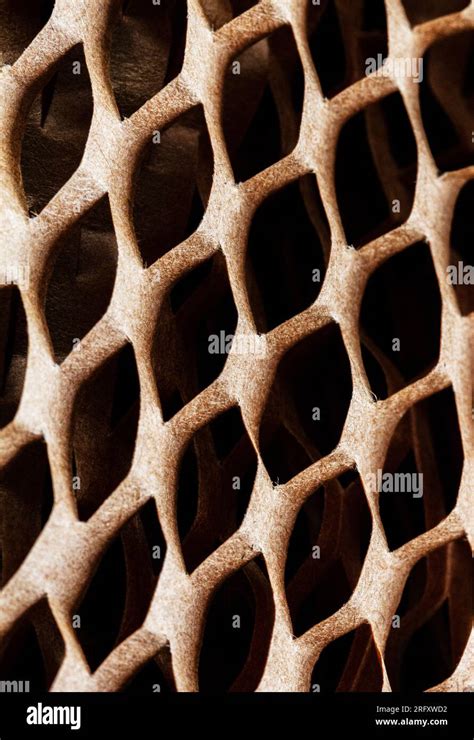 Honeycomb Packing Paper Creates Geometric Patterns Stock Photo Alamy