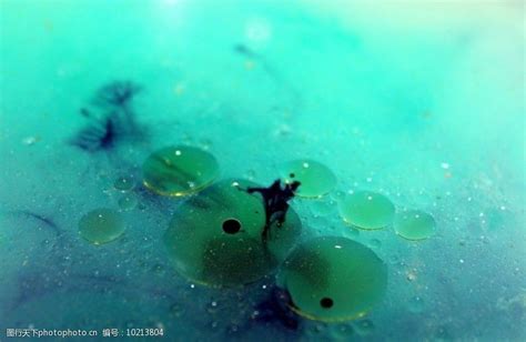 滴蜡图片免费下载 滴蜡素材 滴蜡模板 图行天下素材网