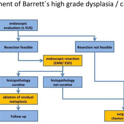 Proposed Treatment Algorithm According To Current Guidelines 30