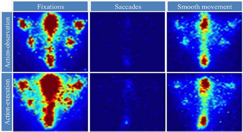 Density Map For Both Action Observation And Action Execution Conditions