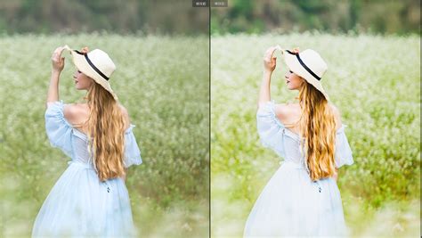 Lightroom Lr Macw