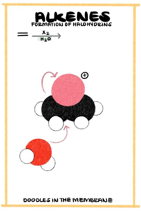 Formation Of Halohydrins Organic Chemistry Reaction Animation Doodles