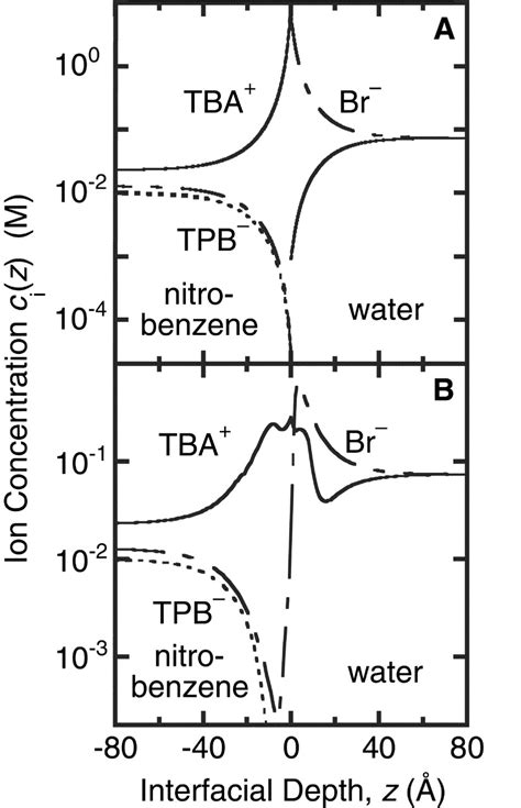 Ion Distributions Near A Liquid Liquid Interface Science