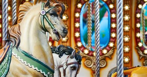 Is Six Flags Plus Size Friendly Everything You Need To Know