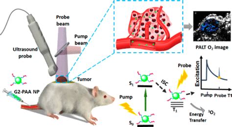 ACS Nano Vol 13 No 12 ACS Publications