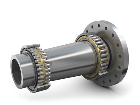 Main Shaft Skf