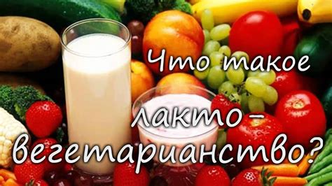 Что такое лакто-вегетарианство? - YouTube