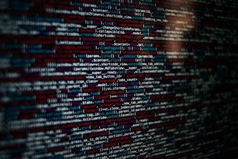 Vue Router Scroll Behavior