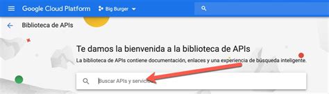 Cómo Habilitar API y Servicios de Google Zetly com
