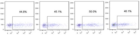 Figure S1 Detection Of The Transfection Efficiency By Facs The Download Scientific Diagram