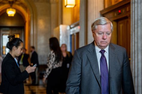 What Lindsey Graham Did In Georgia To Keep Trump In Power Tpm