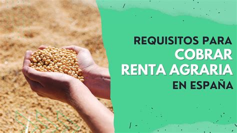 Conoce Los Requisitos Para Cobrar La Renta Agraria
