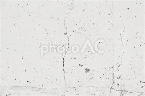 무료 사진 제목