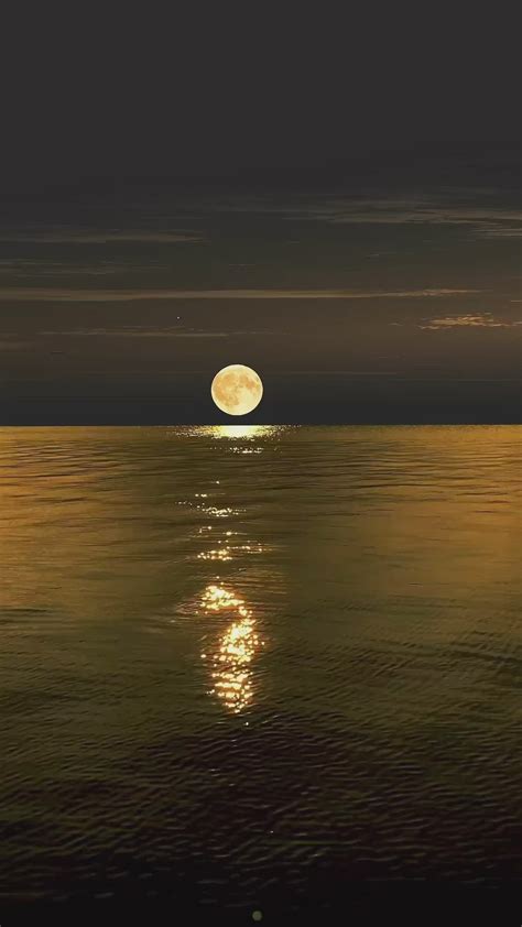 Boa Noite Com Luar Lua Lua Cheia Full Moon Fotografia Da Lua
