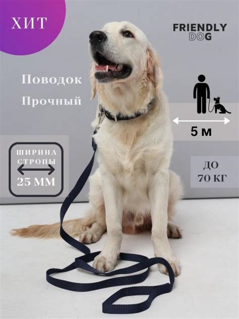 Поводок для собак, крупных пород, 5метров, классический, стропа, для ...