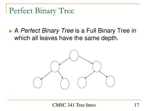 Ppt Cmsc 341 Powerpoint Presentation Free Download Id3636868