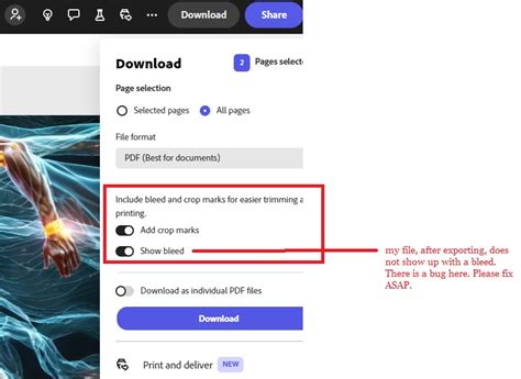 Solved How Do Bleed In Adobe Express Adobe Product Community 14619569
