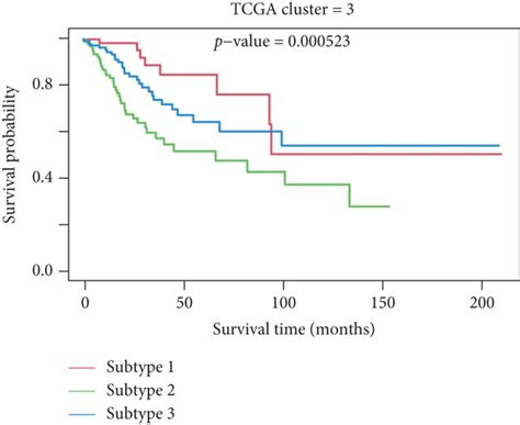 Identification Of Clinically Relevant Subtypes Of Cervical Cancer In