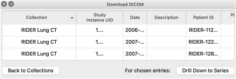 Chimerax Tutorial Viewing Metadata Of And Segmenting Dicom Images