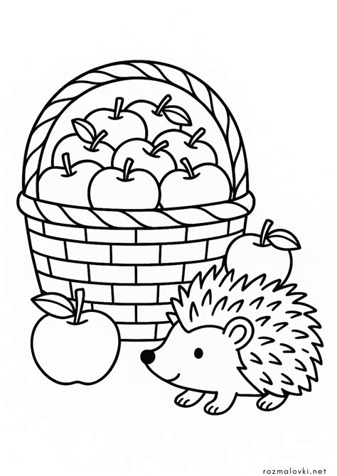 Розмальвоки про Осінь 🍂 осінні розфарбовки роздрукувати безкоштовно А4 скачати Розмальовки