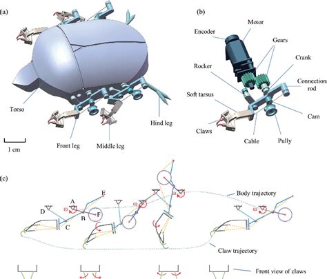 Figure 1 From A Beetle Inspired Miniature Hexapod Mesh Climbing Robot