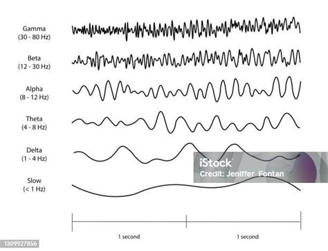 Eeg Waveforms Stock Illustration Download Image Now Brain Wave Eeg