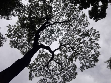 Необычный взгляд в летнем саду Пикабу