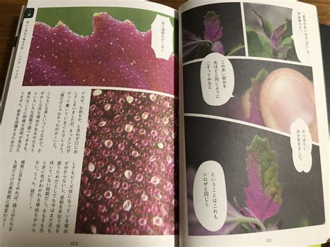 凄い！じゅんじゅんの本、重版決定！ Botanic Lovers