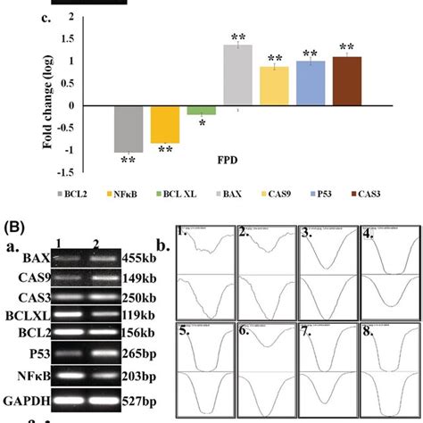Annexin Vpropidium Iodide Pi Double Staining Flow Cytometric Assay