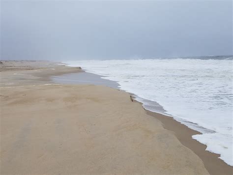 Conquest Beach Delaware Surf