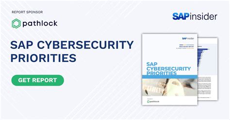 Sap Sapsecurity Cybersecurity Informationsecurity Datasecurity Pathlock