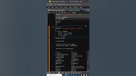 Execute Multiple Windows Commands Inside The Jupyter Lab Youtube