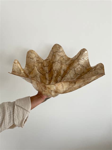 Mother Of Pearl Clam Shell Gold Luxe Bohteak