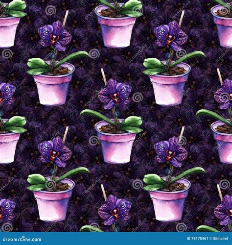 Violet Phalaenopsis Orchid Flower Seamless Pattern Texture Stock